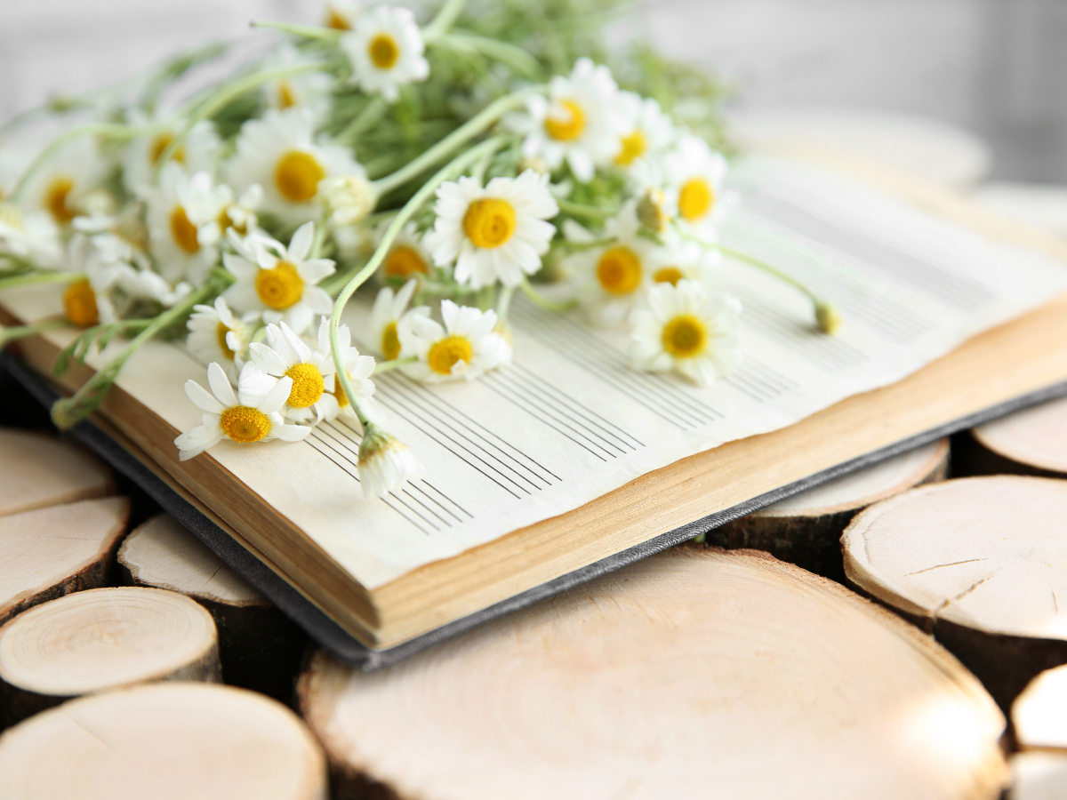 Monthly Rituals for a Spiritual Reset - Soft Spirituality